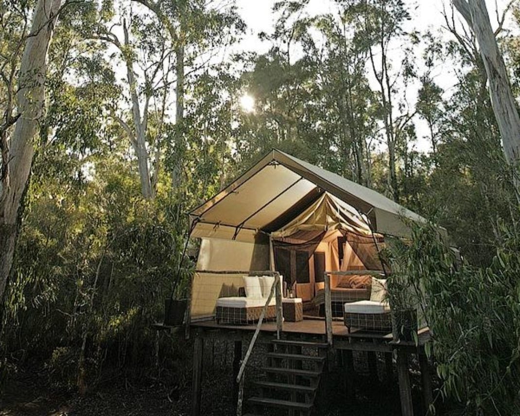 The Best Camps and Lodges | Welcome Beyond