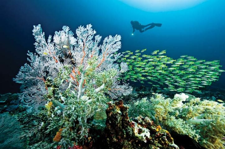 Misool Resort in Raja Ampat, Indonesia | Private islands